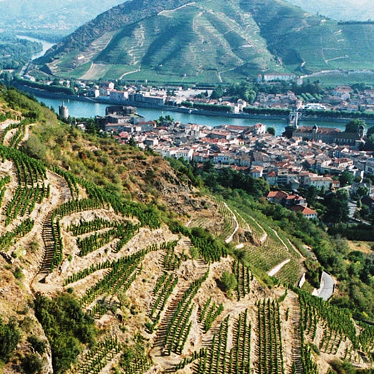 Rhone – Wine Bracketz